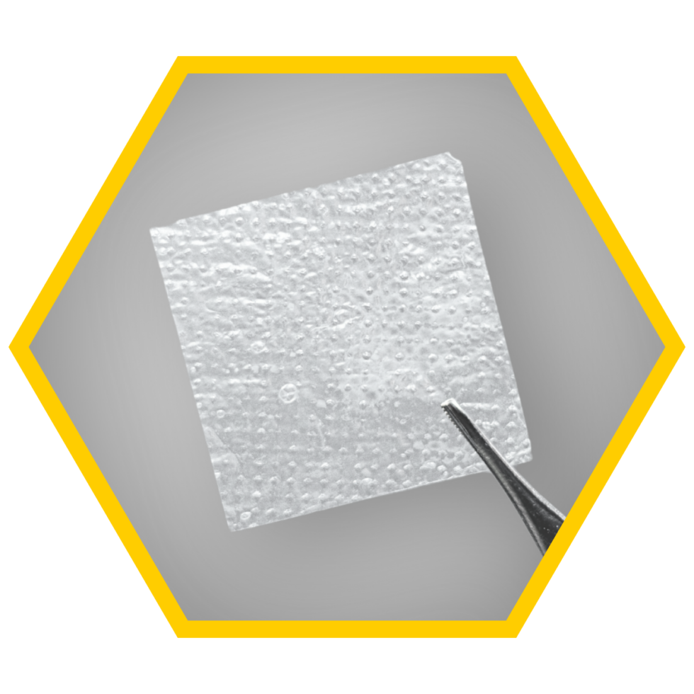 CELERA Human Placental Skin Substitute | MIMEDX